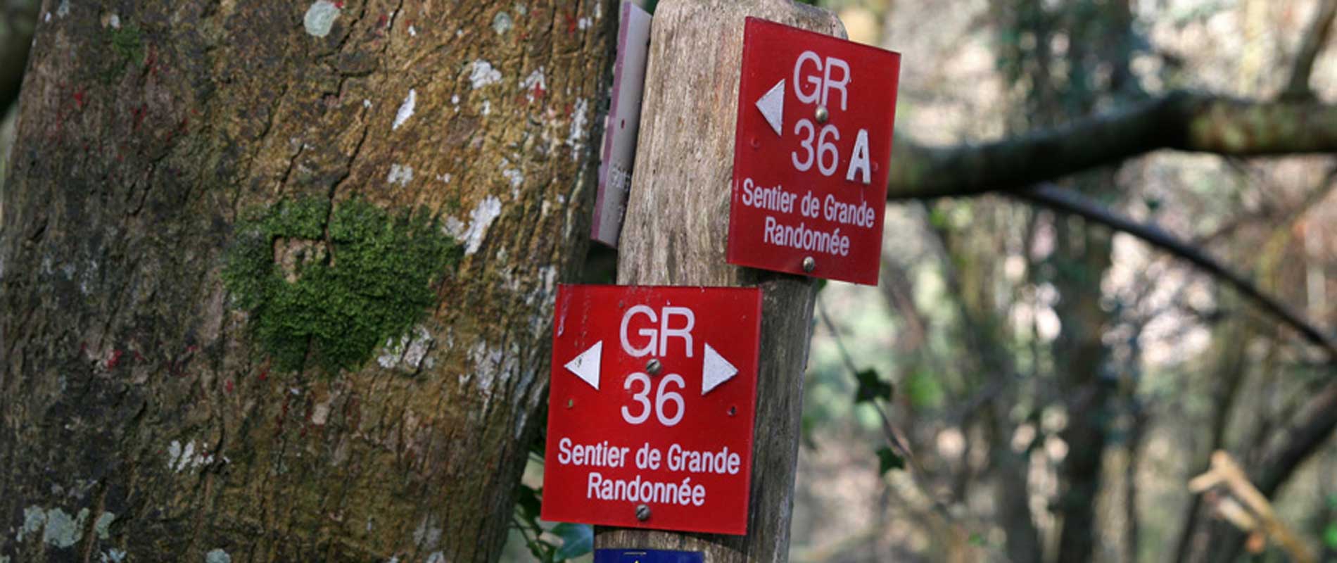 GR36 : étape près de Niort pour une rando dans le marais poitevin